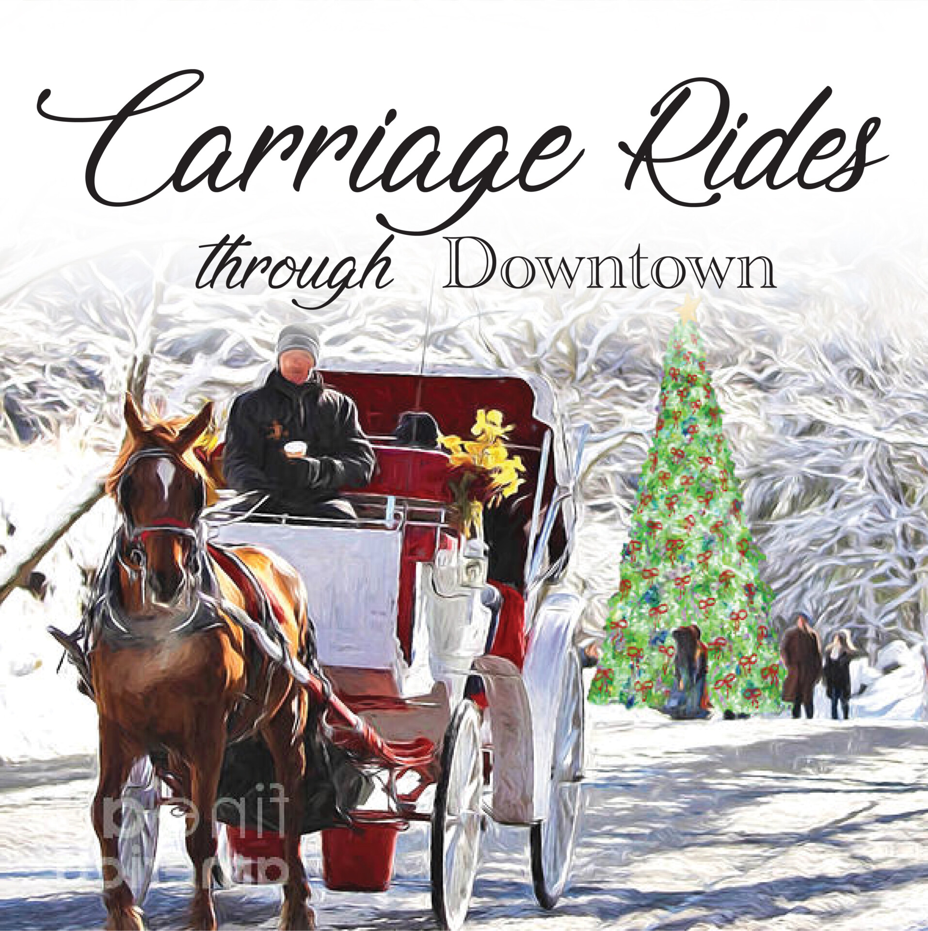 Carriage Rides – Downtown Lenoir